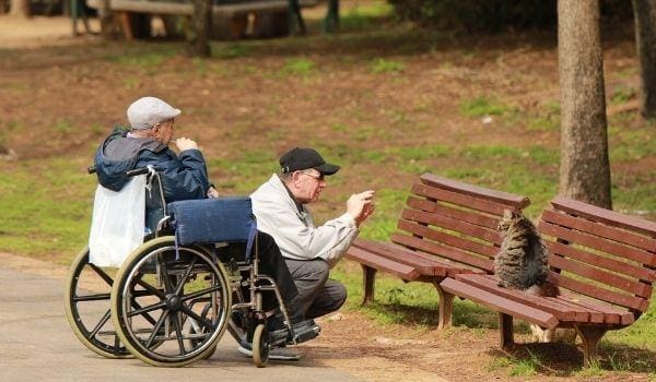 How Can Senior Citizens Overcome Barriers to Transportation?